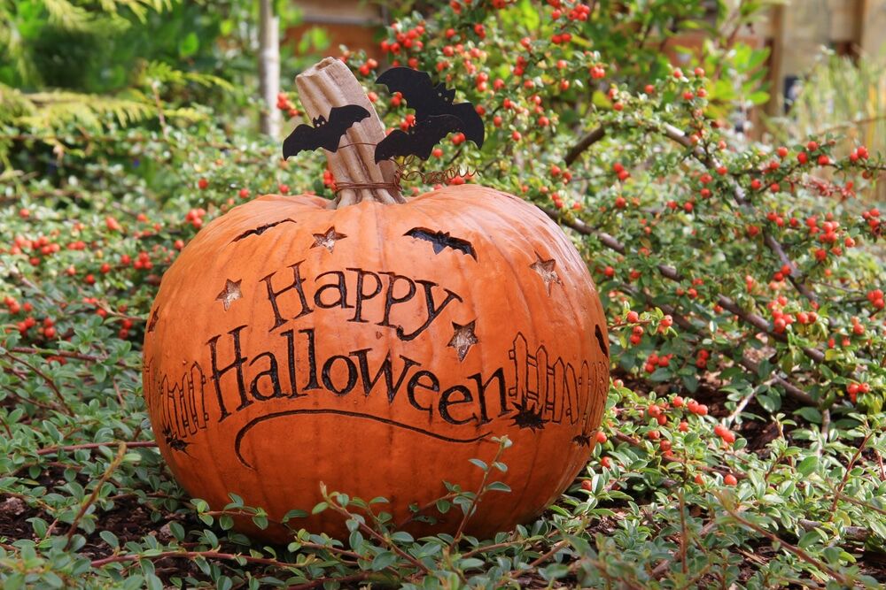 Best Scare Mazes this Halloween 2025 | Top Things To Do | DOWTK