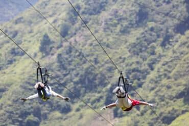 Zip Wire Near Me | Top Things To Do | DOWTK