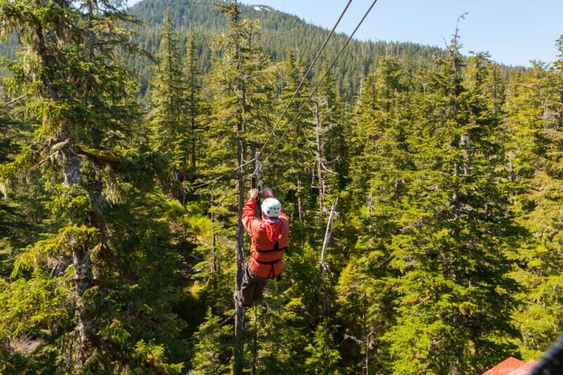 Zip Wire Near Me | Top Things To Do | DOWTK