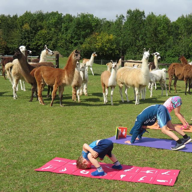 Animal Experiences Near Me | Top Things To Do | DOWTK