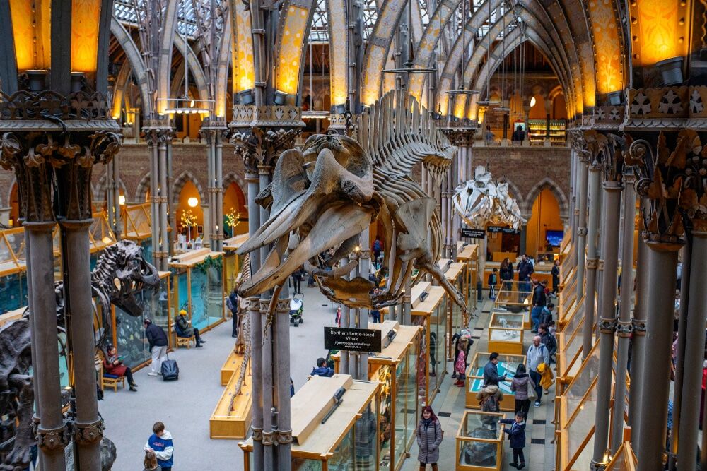 21 Free Museums For Families | Top Things To Do | DOWTK