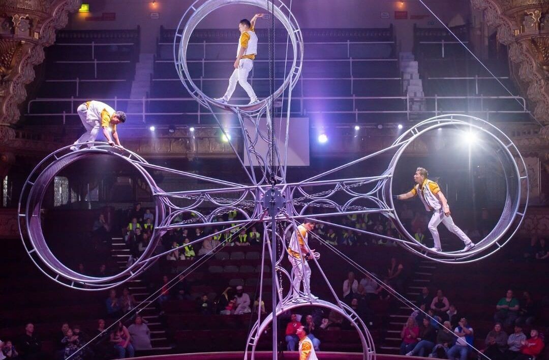 Step Right Up! The Ultimate Guide to Finding a Circus Near Me | Top ...