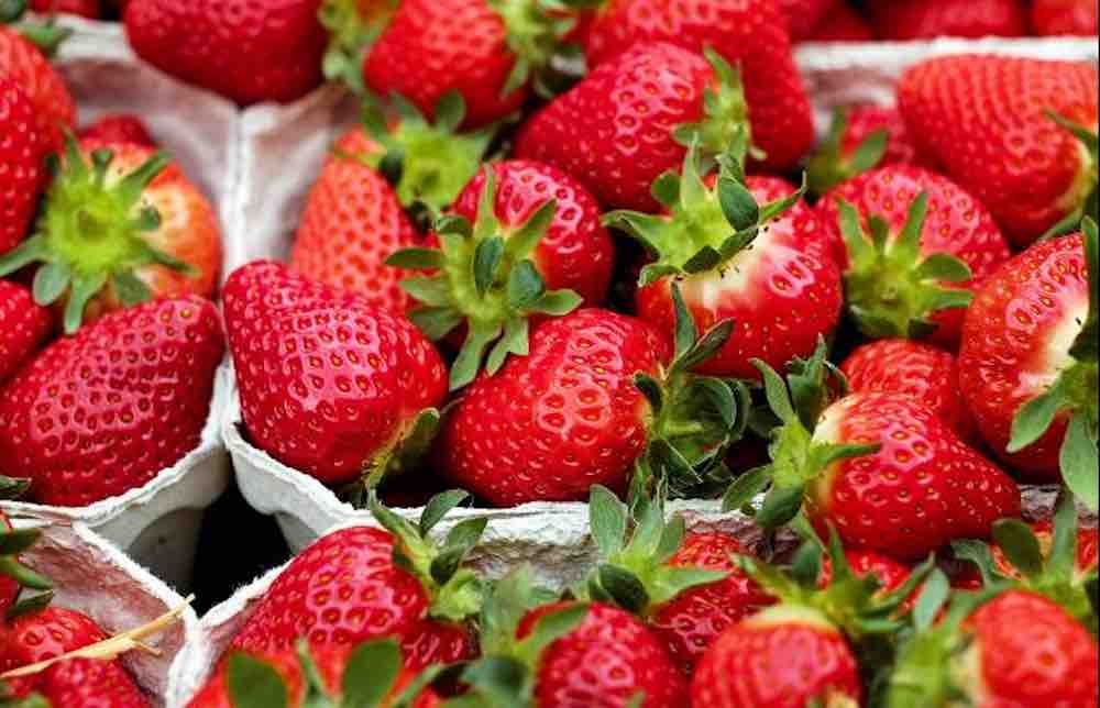 Where To Go Strawberry Picking In Manchester | DOWTK