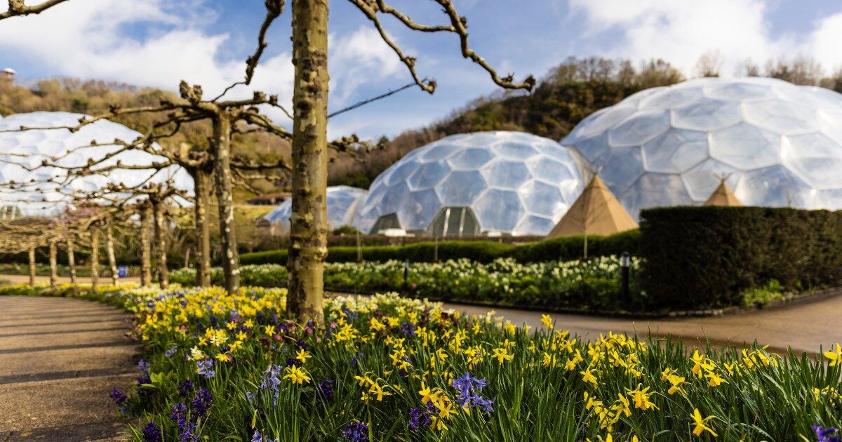 Our Top Pick Of Universal Credit Days Out 2025 | Day Out With The Kids