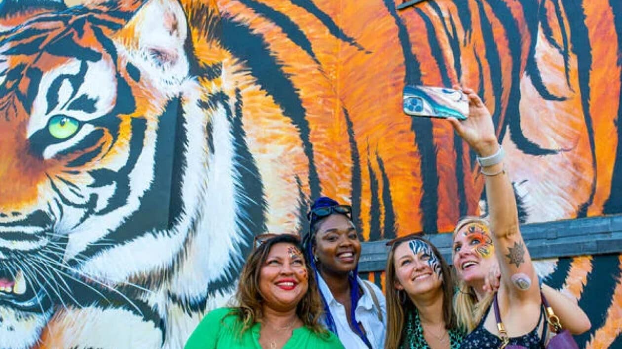 Zoo Nights at London Zoo | Day Out With The Kids