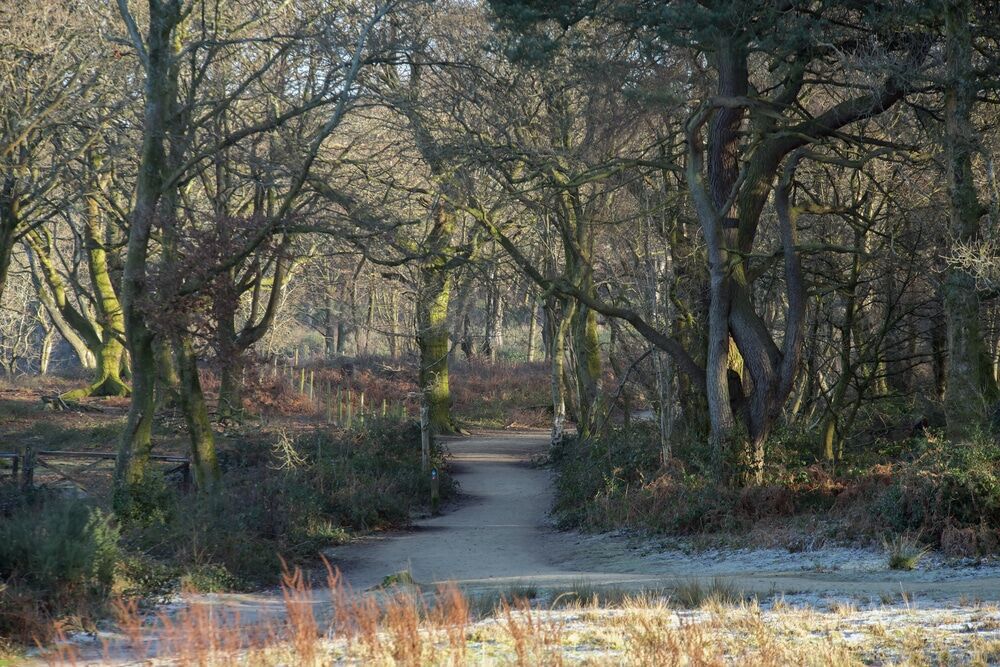 Best Waterfall Trails Near London | Top Things To Do | DOWTK