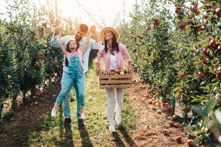Fruit Picking Farms In Birmingham | Top Things To Do | DOWTK