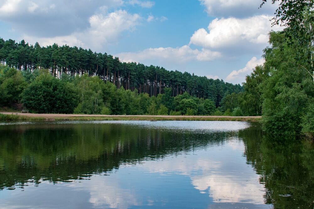 Best Waterfall Trails Near Birmingham | Top Things To Do | DOWTK