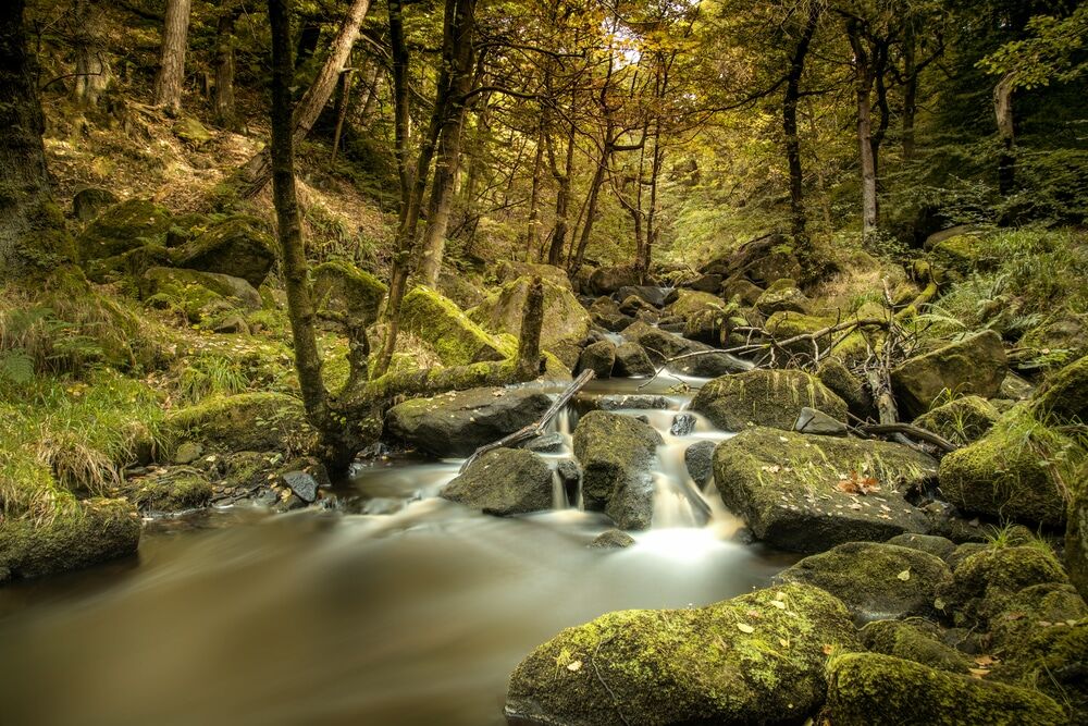 Best Waterfall Trails Near Birmingham | Top Things To Do | DOWTK