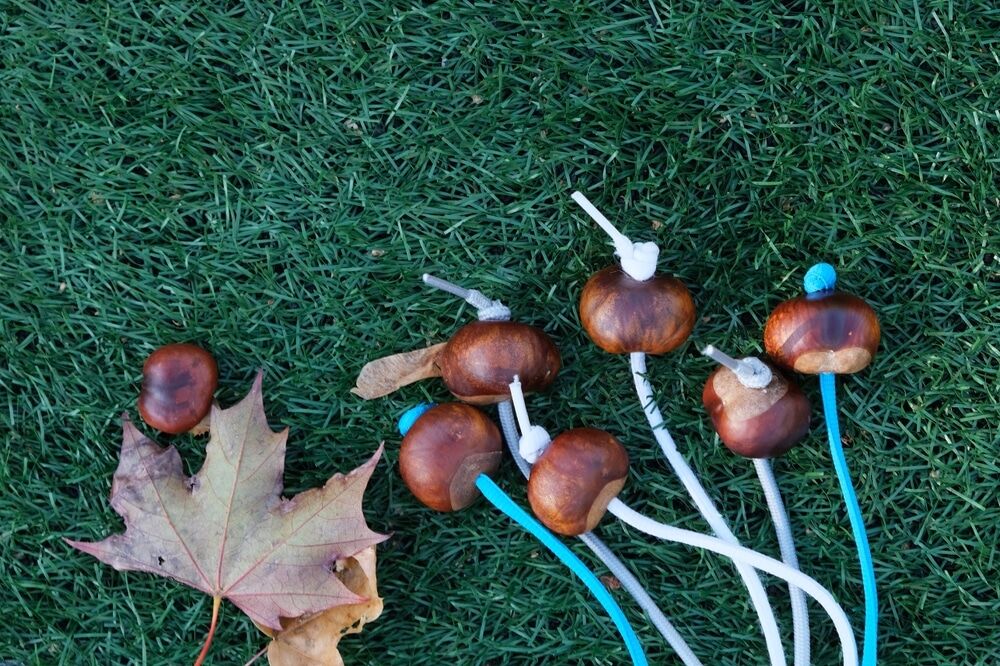 10 Things You Can Do With Conkers | Top Things To Do | DOWTK