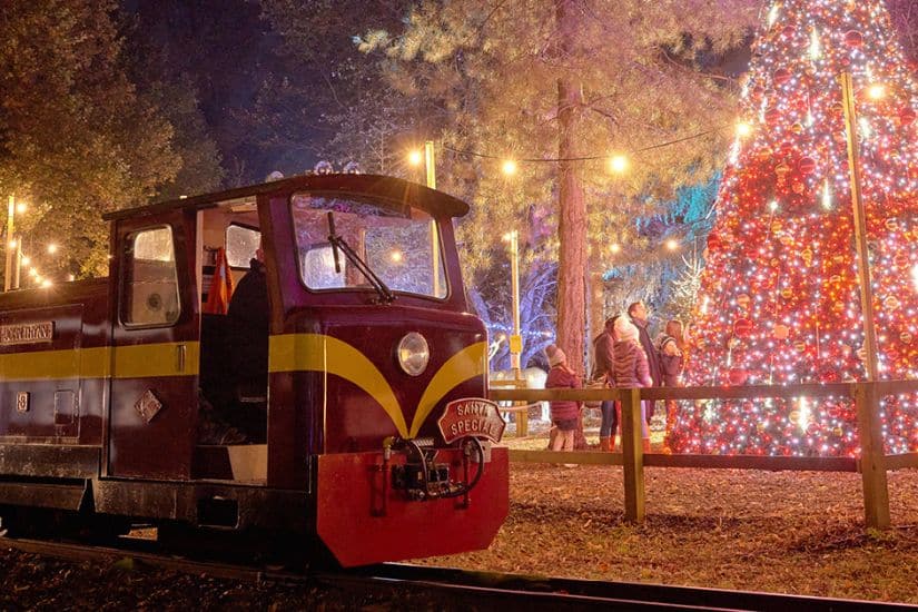 The Festival of Light at Longleat Safari Park | DOWTK