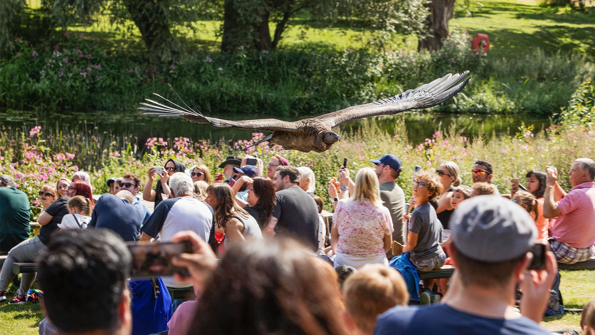 Warwick Castle State Rooms and Live Shows 2026: A Family Day Out