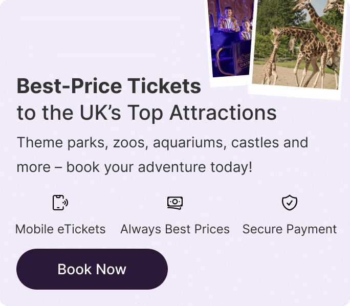 Best Scare Mazes this Halloween 2025 | Top Things To Do | DOWTK